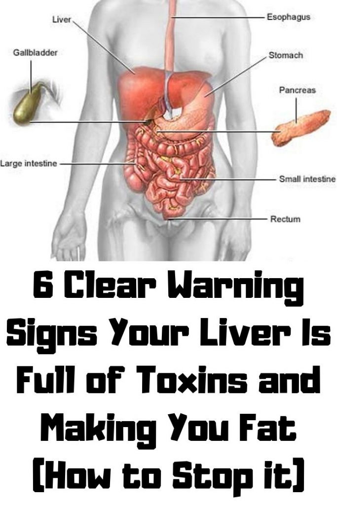 6 CLEAR WARNING SIGNS YOUR LIVER IS FULL OF TOXINS AND MAKING YOU FAT ...
