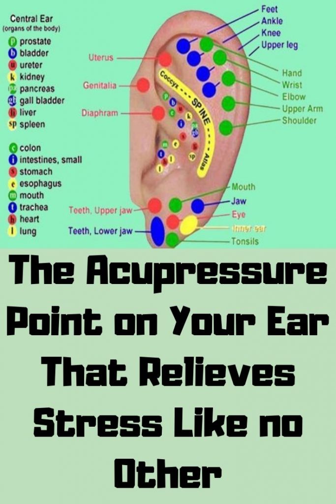 The Acupressure Point on Your Ear That Relieves Stress Like no Other ...