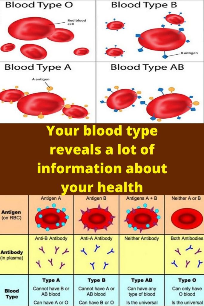 YOUR BLOOD TYPE REVEALS A LOT OF INFORMATION ABOUT YOUR HEALTH – Yoga4daily